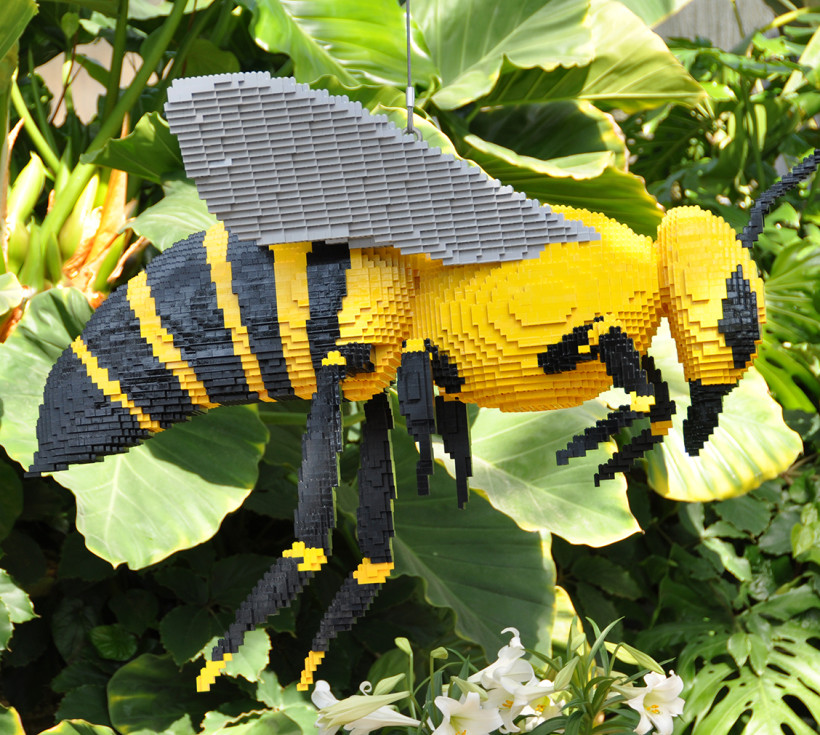 LEGO® Bricks Exhibit at the Denver Zoo | The Denver Ear