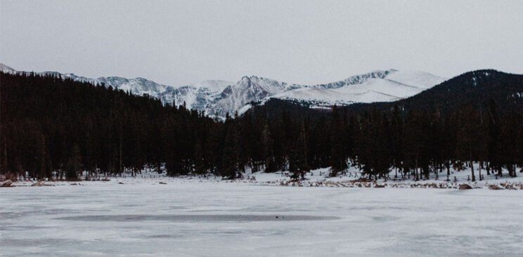 The Best Snowshoe Trails Near Denver For All Skill Levels